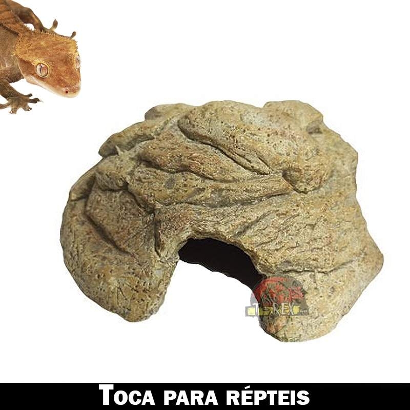 Toca pequena para répteis: encontre a melhor opção para o seu pet!