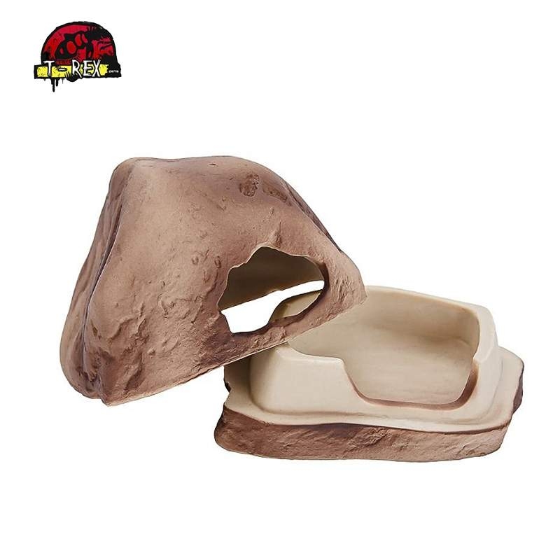 Toca Úmida para Répteis: Aconchego e Conforto para Seu Gecko, Pogona ...